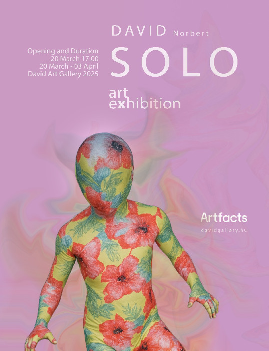 SOLO :: Davidgallery